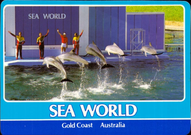GOLD COAST SEA World Postcard. Vintage Marine Park Old Queensland ...