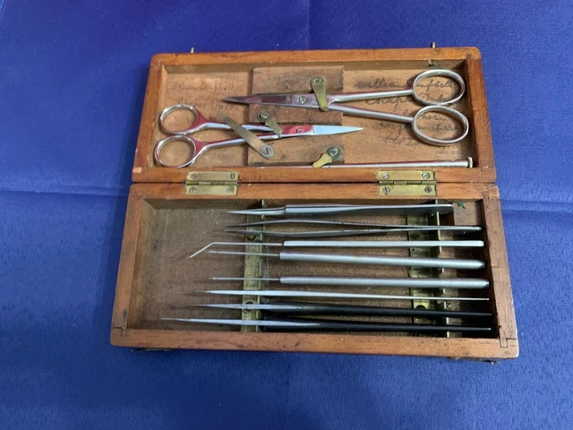 ANTIQUE BOX SURGICAL instruments with tortoiseshell scales John Weiss ...