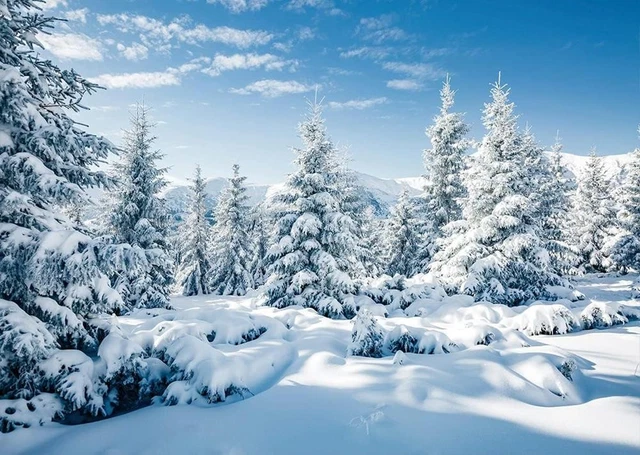 7X5FT WINTER SNOW Forest Backdrop Snowy Scene Photo Christmas Backdrops ...