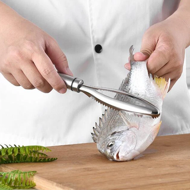FISH SCALER RUST-PROOF Convenient Fish Scale Peeling Tool Sturdy £9.59 ...