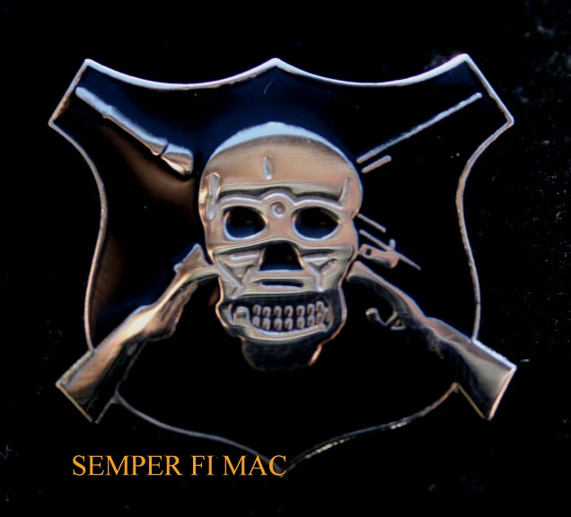 SNIPER RIFLE SKULL Hat Pin Skull Us Army Navy Air Force Marines Coast ...