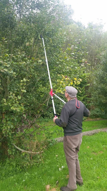 LONG REACH TELESCOPIC Tree Pruners Loppers 8ft Bypass Extendable ...