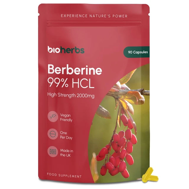 BERBERINE HCL SUPPLEMENT High Strength 2000mg 99% HCL by 90 One Per Day ...
