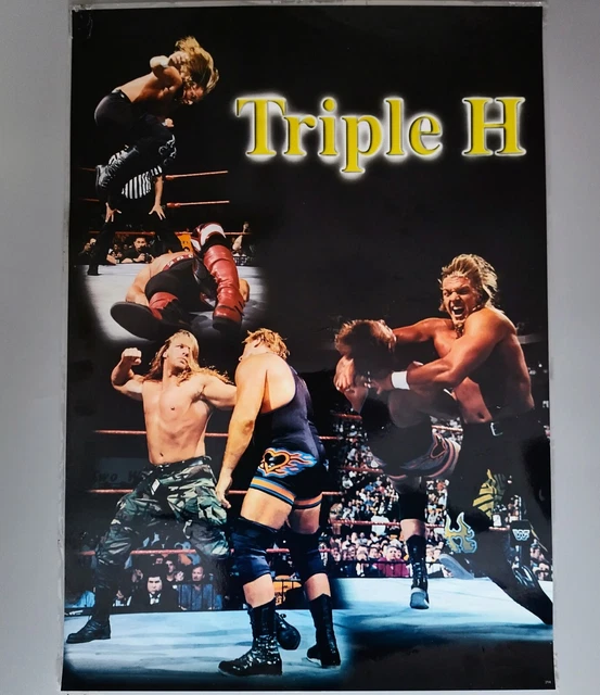 VINTAGE WWF POSTER Attitude Era Vintage Wrestling Poster Laminated 59 x ...