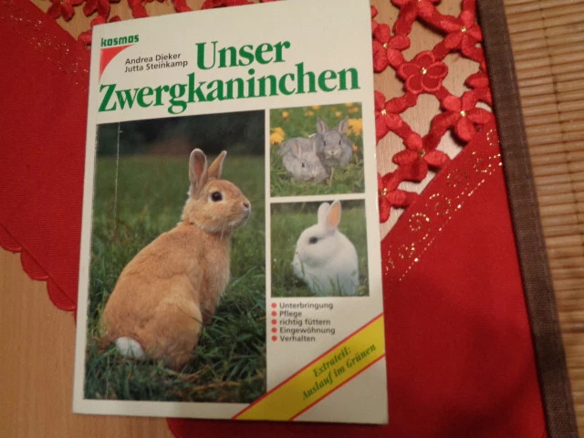 UNSER ZWERGKANINCHEN ANDREA Dieker Jutta Steinkamp EUR 1,00 - PicClick DE
