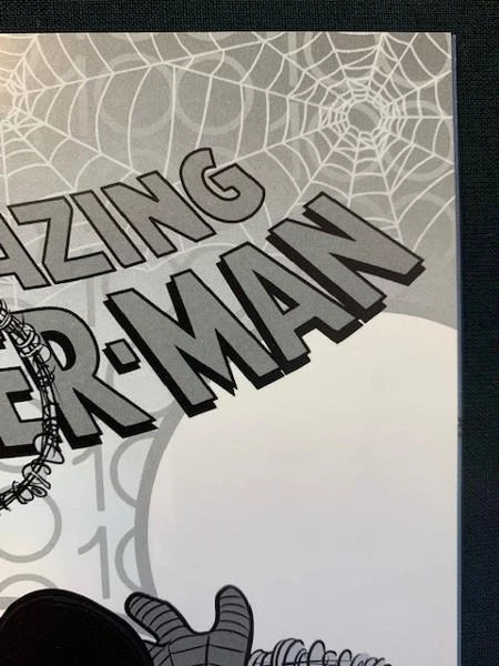 INCREDIBILE SPIDER-MAN #35 1:100 Variante B&W Disney Incentivo Al ...