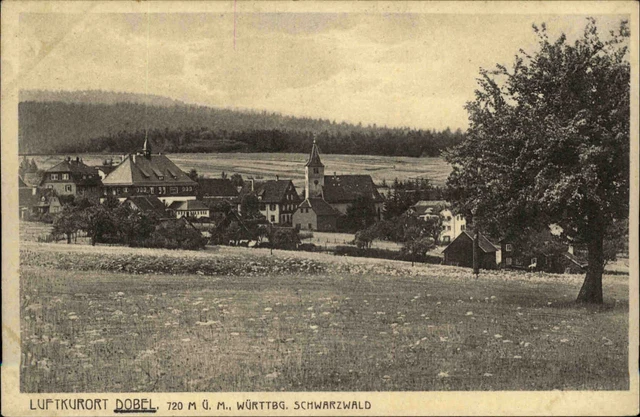 LUFTKURORT DOBEL SCHWARZWALD alte AK ~1920 Gesamtansicht Verlag Robert ...