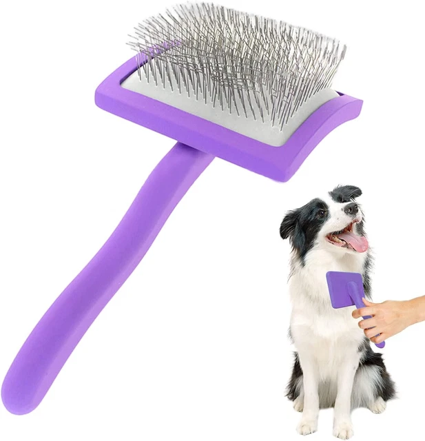 SLICKER BRUSH FOR Golden Doodle, Poodle, Labradoodle & More, Purple ...