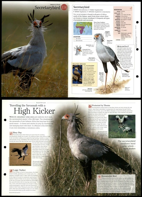 SECRETARYBIRD #114 BIRDS - Discovering Wildlife Fact File Fold-Out Card ...
