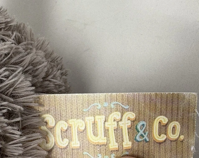 SCRUFF & CO Dog Soft Stuffed Plushies Toys Card Factory (LFT1) Cute ...
