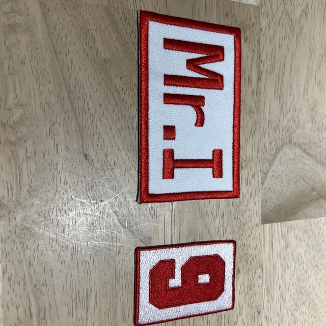 DETROIT RED WINGS Mr.I & 9 White Patches $25.99 - PicClick