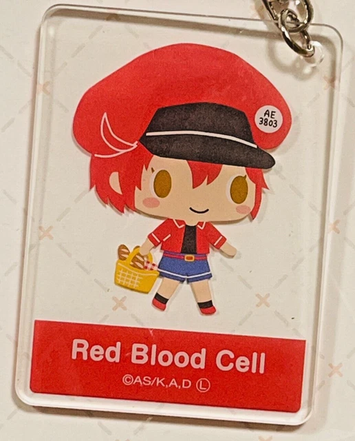 RED BLOOD CELL Cells at Work! Sanrio Design Square Acrylic Keychain ...