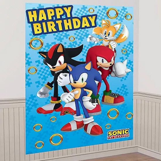 SONIC HEDGEHOG SCENE Setter HAPPY BIRTHDAY party BACKDROP w/12 photo ...