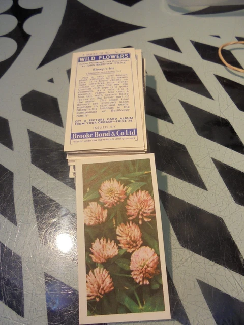 BROOKE BOND '' Wild Flowers A Series 1955'' Top Class Set EUR 11,67 ...