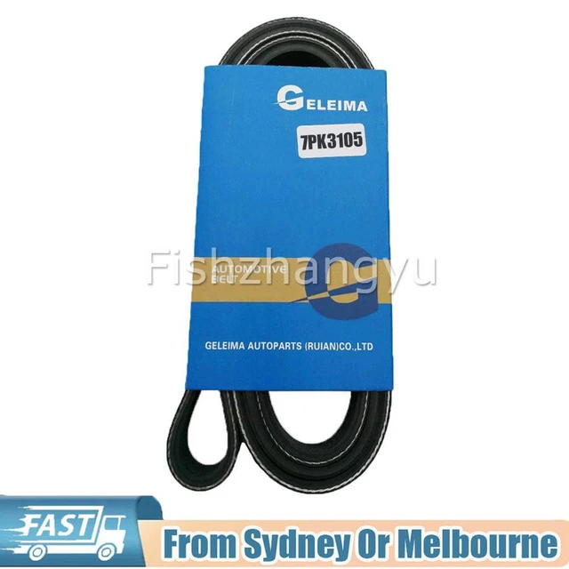 RIBBED SERPENTINE DRIVE Belt 7PK3105 Multi-V Belts Fit Ford Ranger ...