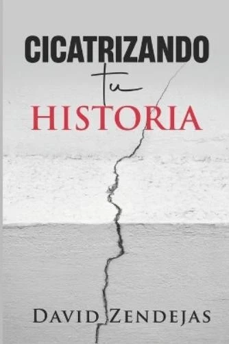 DAVID ZENDEJAS GONZÁLEZ Cicatrizando tu historia (Poche) EUR 14,48 ...
