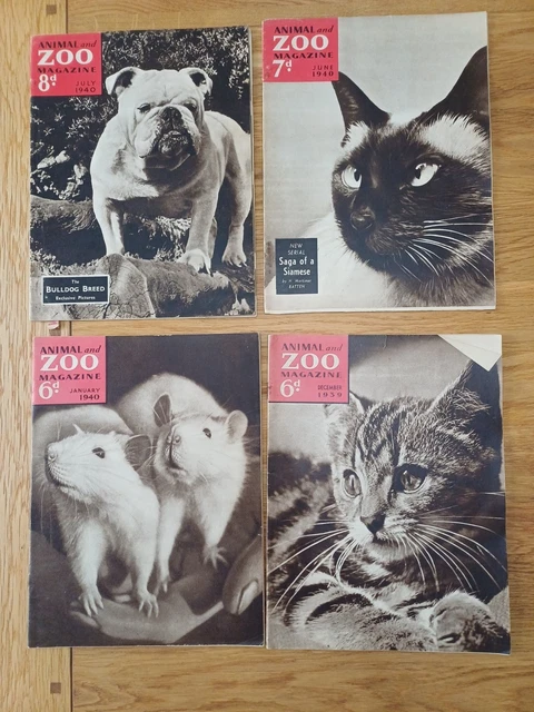 ANIMAL AND ZOO Magazine X 11 £5.45 - PicClick UK