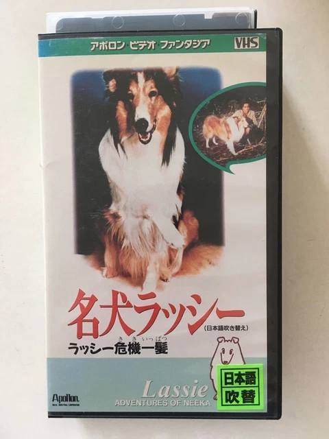 USED VIDEO FAMOUS Dog Lassy/Lassy In Crisis Japanese Dubbing Rare £93. ...