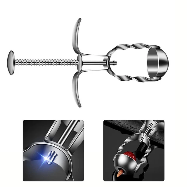 SIMPLE AND EFFICIENT Date Core Remover 304 Stainless Steel Red Date ...