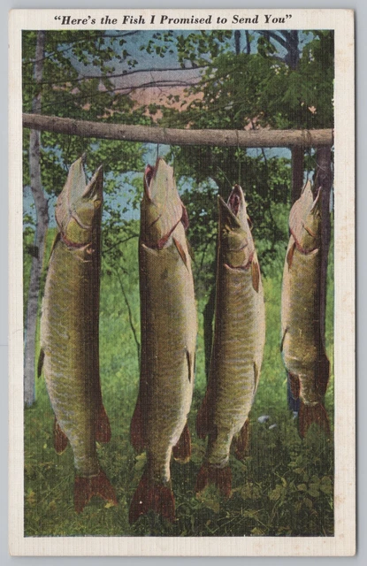 LINEN~HERE'S THE FISH I Promised To Send You~Four Hanging On Branch ...