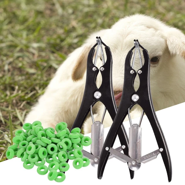 CASTRATION PLIER ANIMAL Equipment Tool Livestock Castration Bander for ...