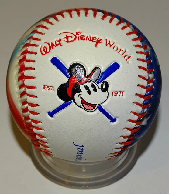 WALT DISNEY WOLRD MICKEY MOUSE Flag Theme Park Exclusive Souvenir ...