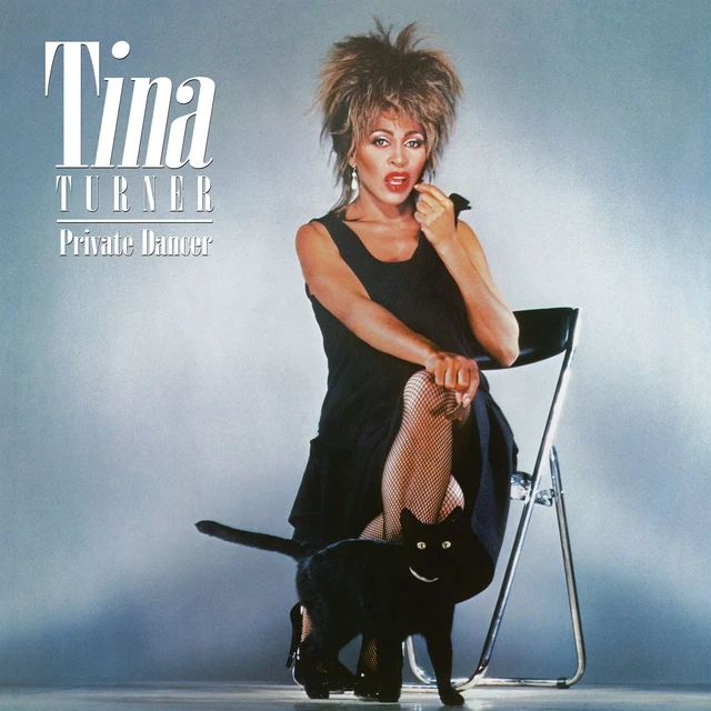 TINA TURNER PRIVATE Dancer: 40th Anniversary (Vinyl) $52.27 - PicClick CA