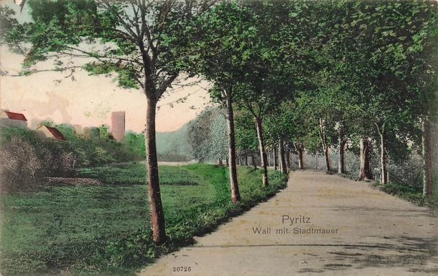 PYRITZ PYRZYCE Pommern Wald mit Stadtmauer Postkarte 1911 EUR 22,50 ...