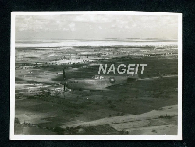 WW2 RAF ORIGINAL Photo Spitfire Wing Commander W Sizer, Dfc Collection ...