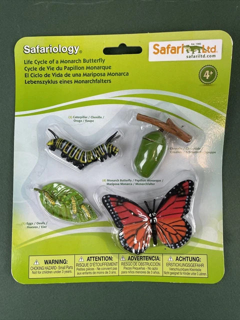 Life Cycle Of A Butterfly Figurines FOR SALE! - PicClick