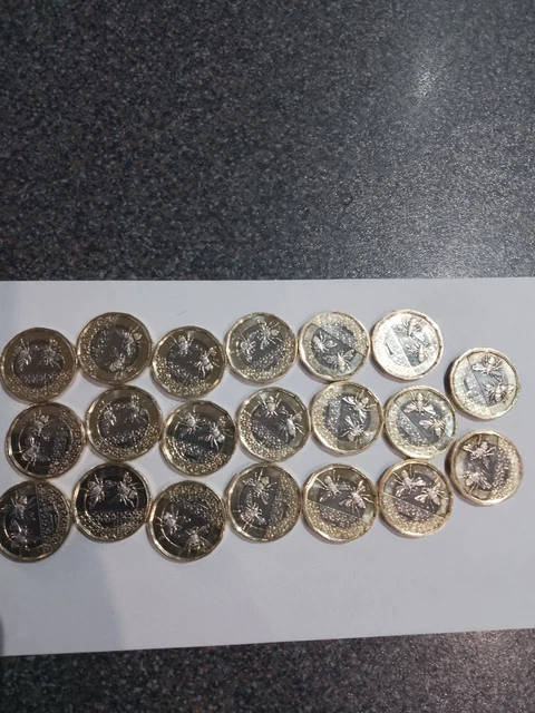 KING CHARLES 2025 £1 Bee Design x20 coins. £39.15 - PicClick UK