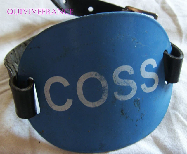 COSS CONTROLLER OF Site Safety Railway Badge Enamel Bracelet CUFF ...