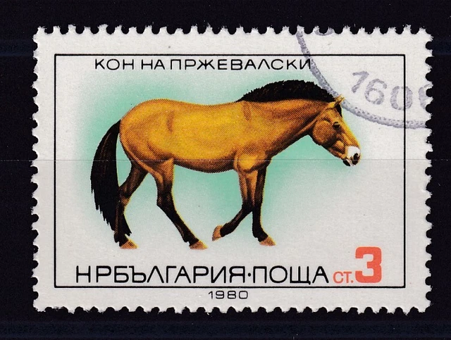 TIMBRE(S) OBLITÉRÉ(S) BULGARIE année 1980 N° 2591 thème Chevaux réf ...