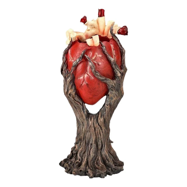 HUMAN HEART STRUCTURE Model Structure for Office Bookshelf Housewarming ...