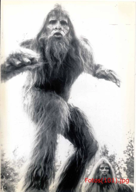 AUF DER SUCHE nach Bigfoot - Dawan Scott - 2 Pressefotos - 15x21cm ...