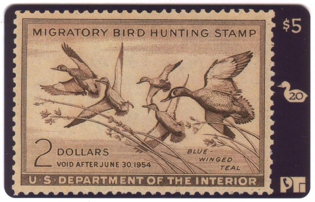 DUCK HUNTING PERMIT Stamp Card #20 'Void After 1954' Blue-Winged Teal ...
