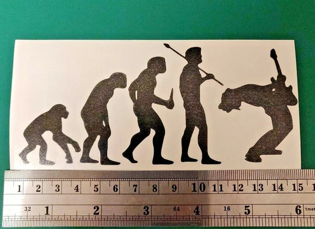 GUITAR EVOLUTION CAMPER/CAR/VAN/FRIDGE/LAPTOP Vinyl Decal Sticker £2.99 ...