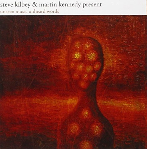 STEVE KILBEY & MARTIN KENNEDY Unseen Music / Unheard Words CD NEUF EUR ...