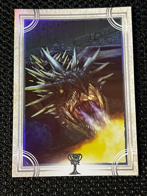 HARRY POTTER WELCOME Hogwarts Wizarding World Trading Card Magyar # 98 ...