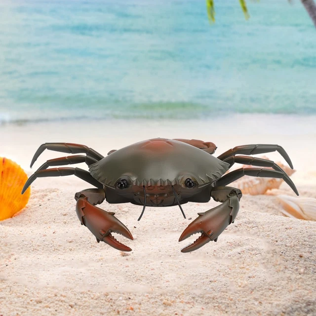 *FUNNY HIGH SIMULATION Remote Control Infrared Animal Crab Kid Trick ...
