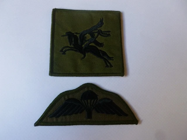 BRITISH ARMY PARACHUTE Regiment Pegasus Patch/Parachute Wings - Subdued ...