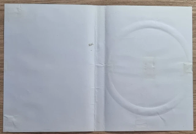 © SPONGEBOB SQUAREPANTS: SpongeBob RoundPants ~ DVD Cover Art ~ FREE ...