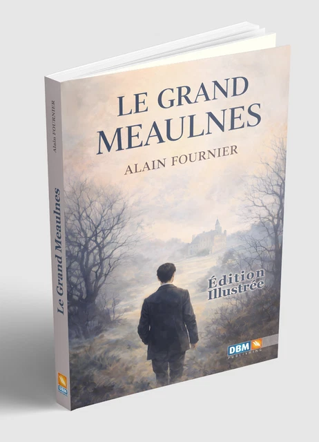 LE GRAND MEAULNES – Édition illustrée | Alain Fournier EUR 31,64 ...
