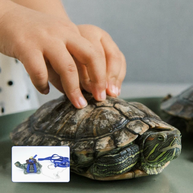 TURTLE PET LEASH Supplies Reptile Terrariums Leashes Harness Hamster ...