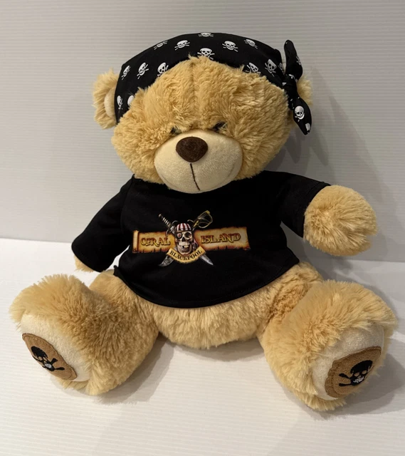 PIRATE TEDDY BEAR Coral Island Blackpool Plush Soft Toy Teddy £10.99 ...