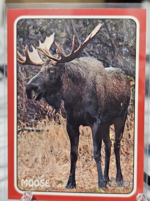 MOOSE 2024 TOPPS HERITAGE ZOO'S WHO STICK-ONS MIKE MOUSTAKAS RED BORDER ...