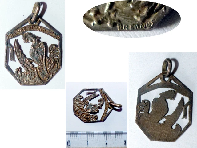 MEDAILLE COQ PATRIOTIQUE Brennus France Quand Meme Coq Sur Pigeon EUR ...