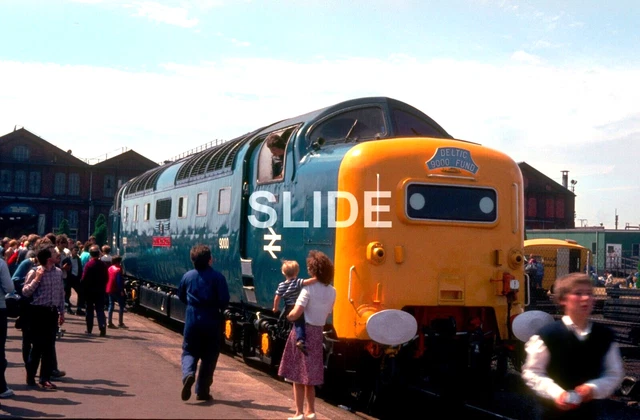 BRITISH RAILWAYS D9000 55 Deltic Diesel Locomotive 1984 Orig Colour ...