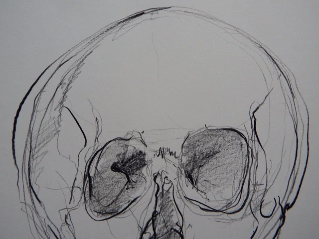 ORIGINAL CHINAGRAPH WAX pencil drawing of a human skull on approx A3 ...