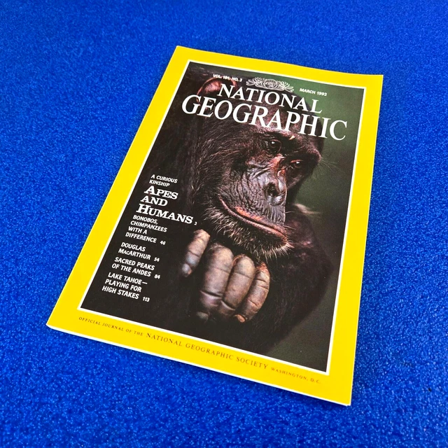 APES, MONKEYS, GORILLA Primates March 1992 National Geographic Magazine ...